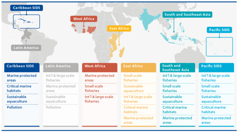 Blue Planet Fund - ICAI